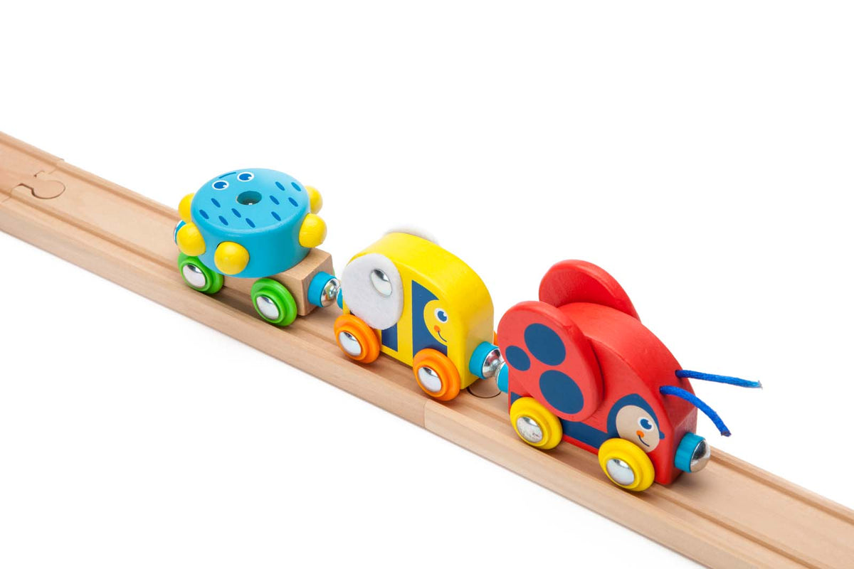 Garden Bug Friends Wooden Train – WoodenTracks